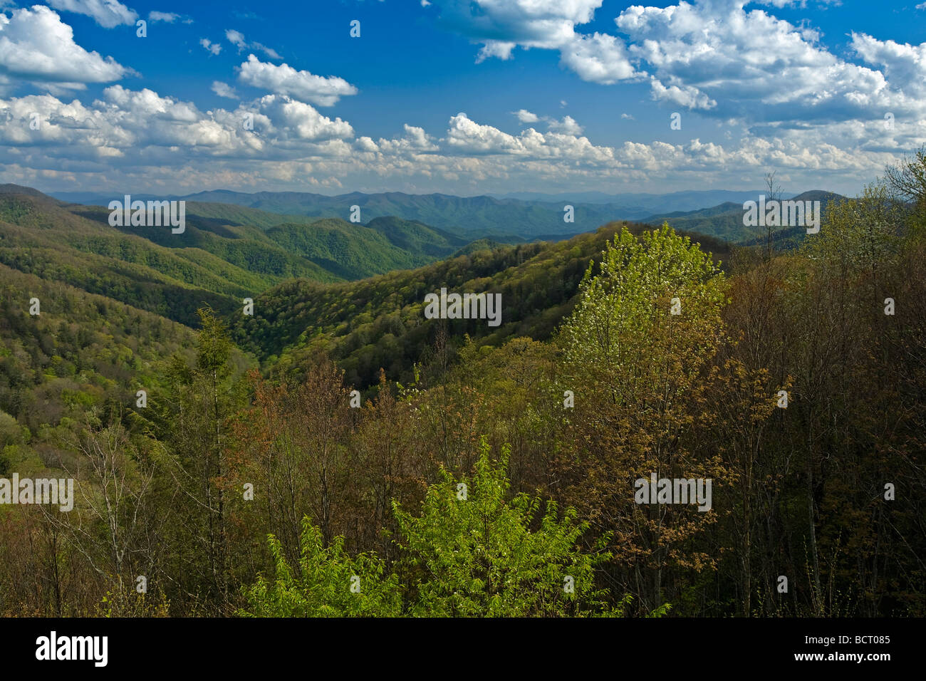 Spring from Newfound Gap Rd Great Smoky Mountains National Park TN NC ...