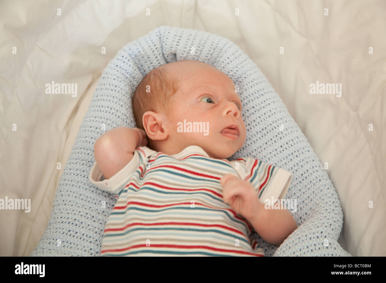 Newborn baby boy in his crib, London, England Stock Photo - Alamy