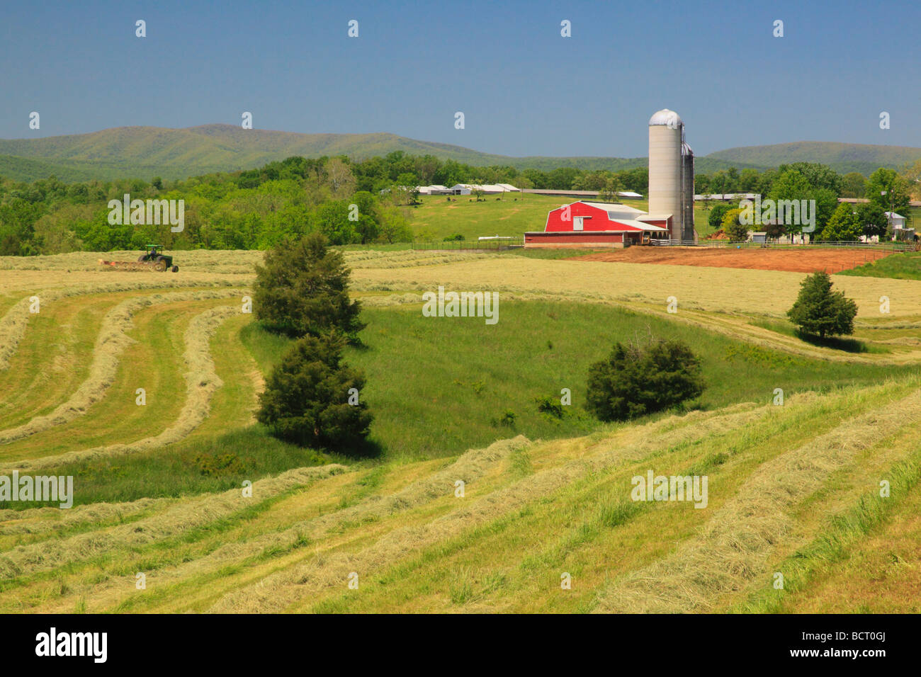 Drying windrows hi-res stock photography and images - Alamy