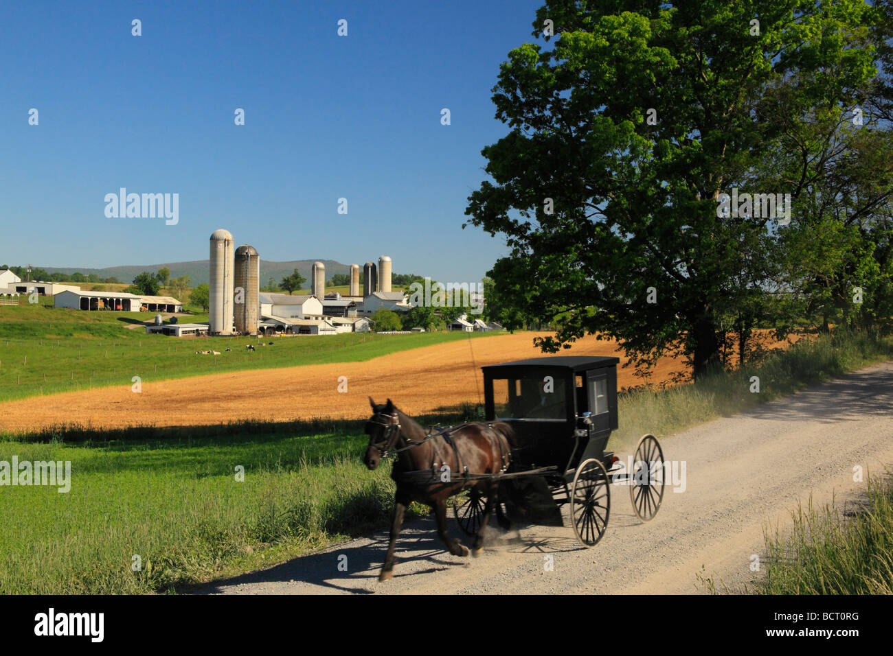 Mennonite buggy on road near Dayton in Shenandoah Valley Virginia Stock ...