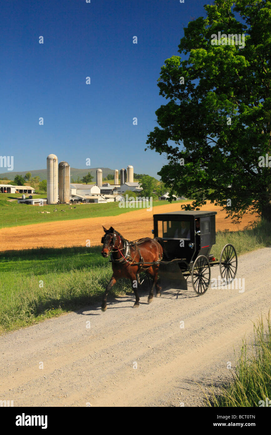 Buggies silo hi-res stock photography and images - Alamy