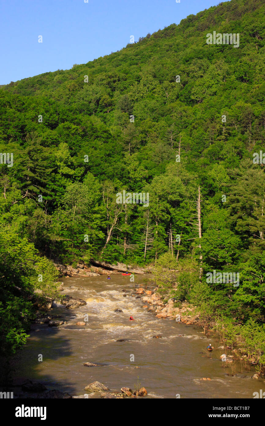 Canoeists and kayakers on Maury River Goshen Pass Natural Area Preserve ...