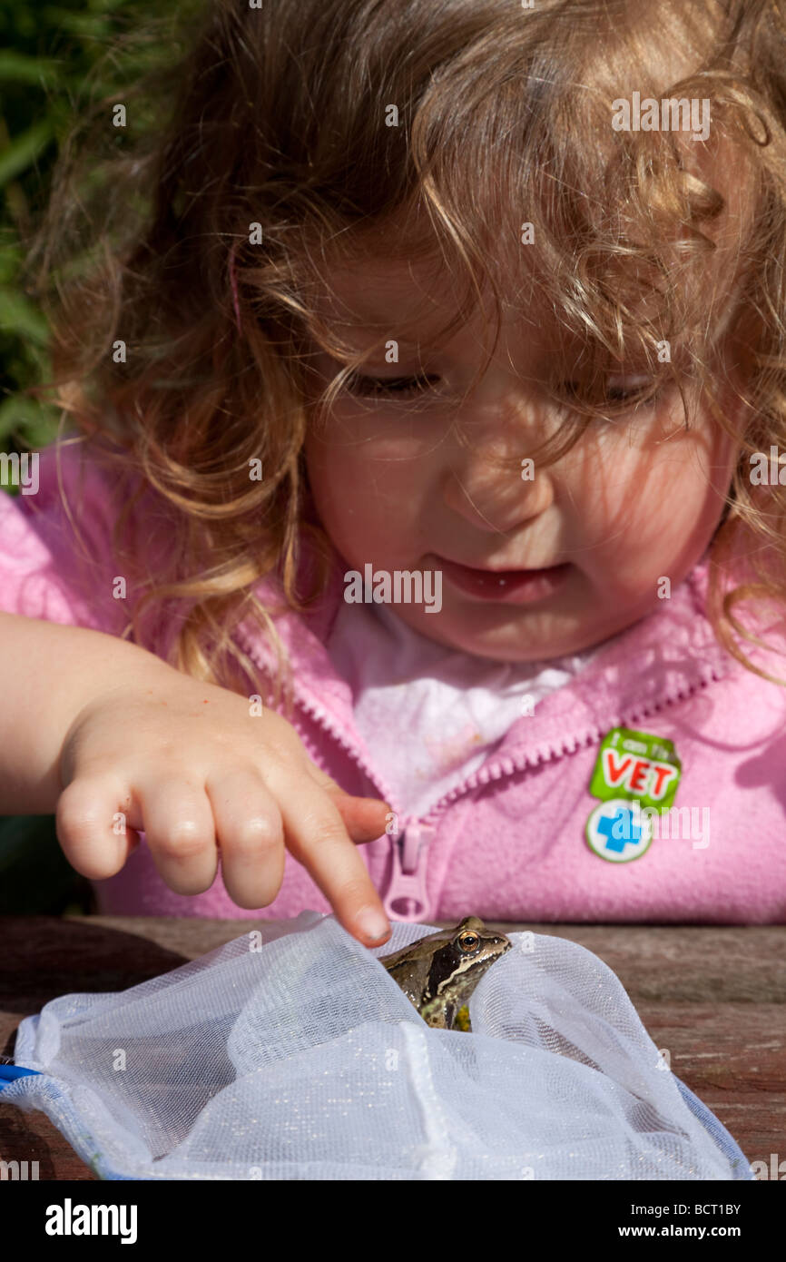 Young child with Frog Stock Photo - Alamy