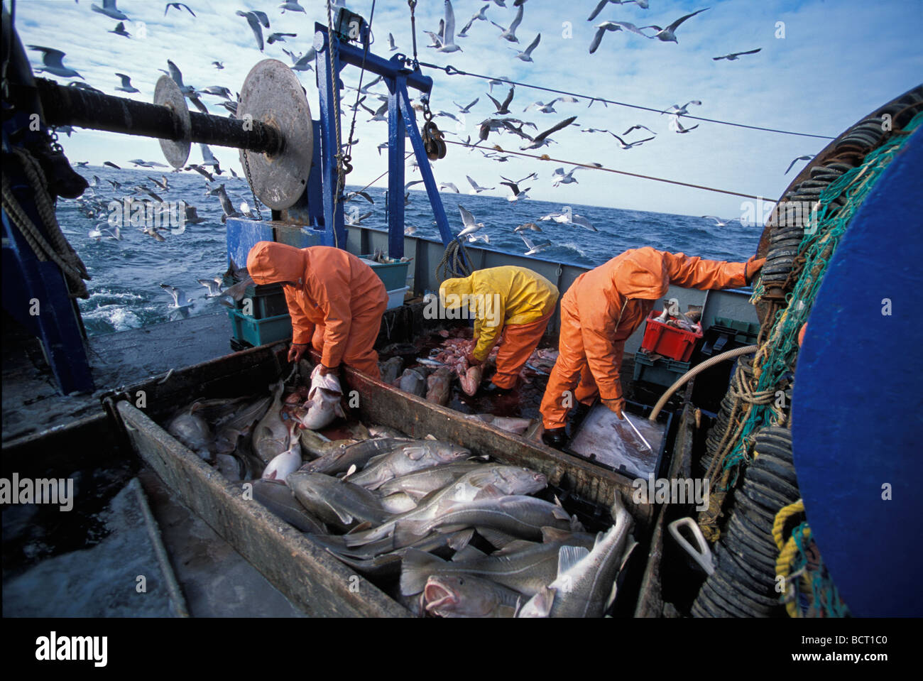 A51ny hi-res stock photography and images - Alamy