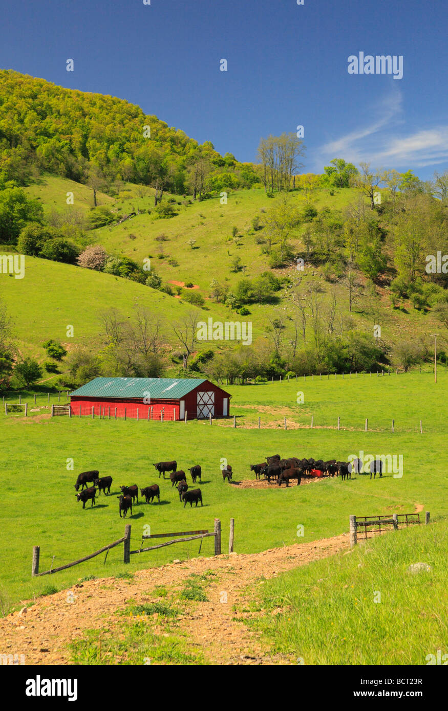 Farm in Western Highland County Virginia Stock Photo - Alamy