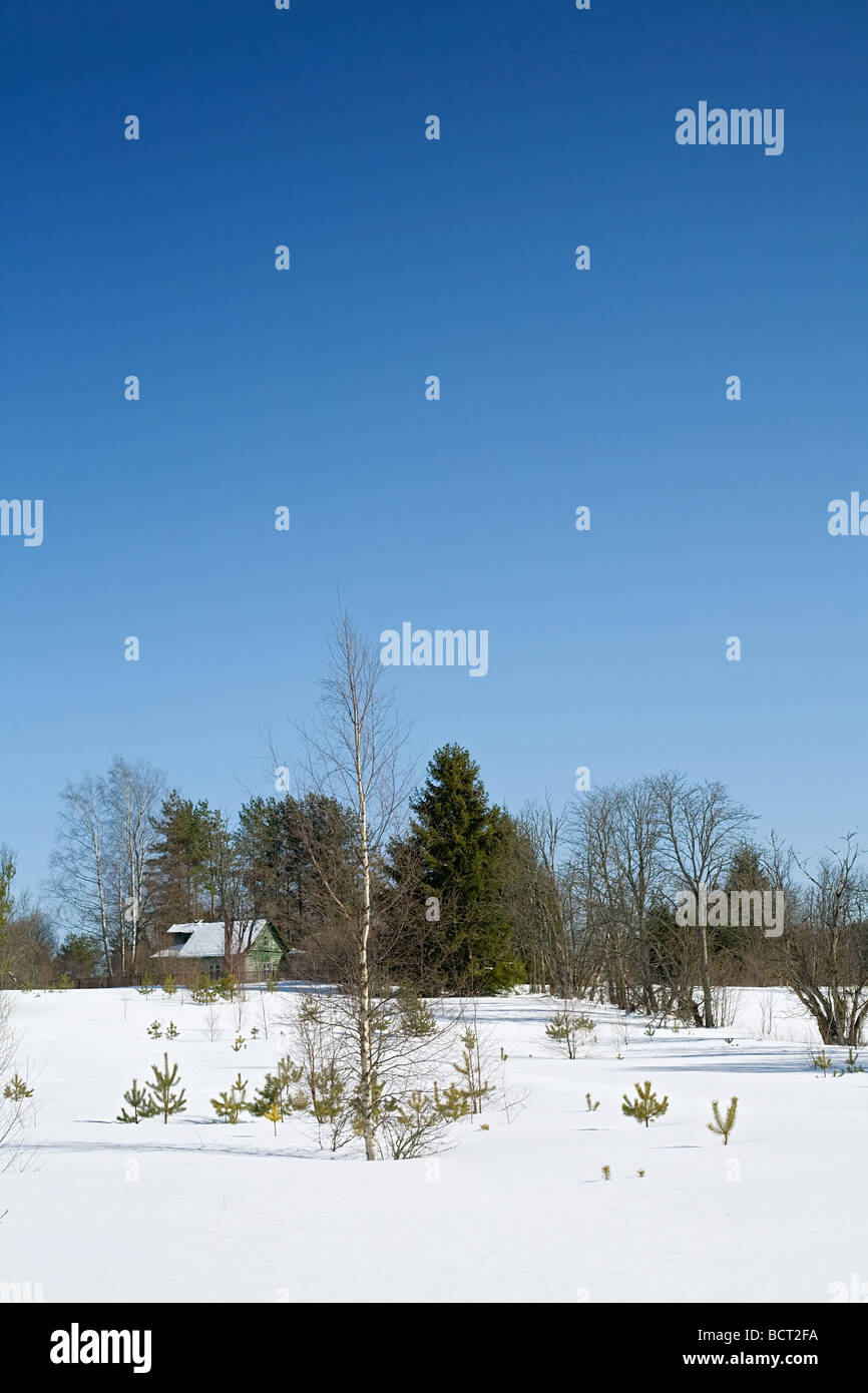 winter rural landscape in cold sunny day Stock Photo - Alamy
