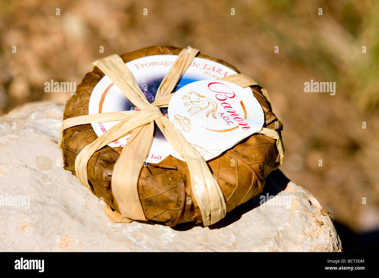 Banon cheese France Stock Photo - Alamy