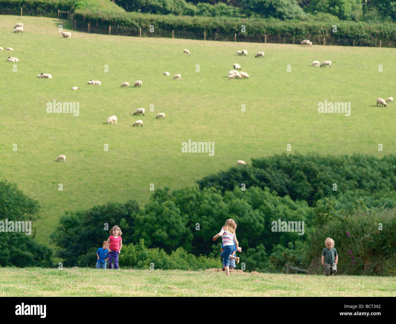 Young children playing in a field, Cornwall Stock Photo - Alamy