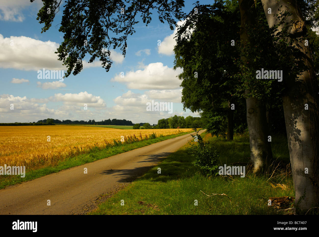 Lane landscape environment hi-res stock photography and images - Alamy