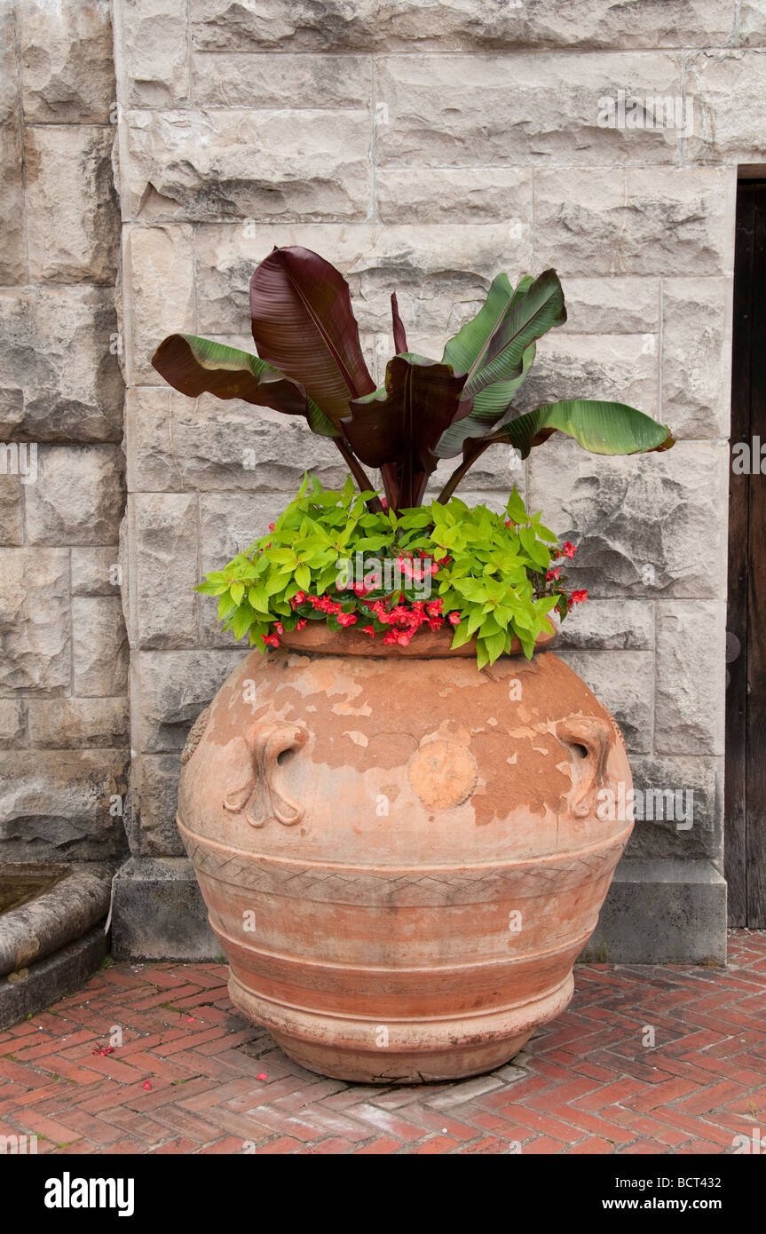 Flowers terracotta pot hi-res stock photography and images - Alamy