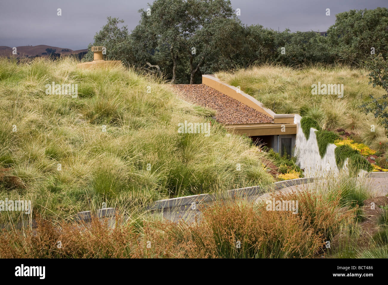Grass meadow green roof garden for California hillside home Stock Photo ...