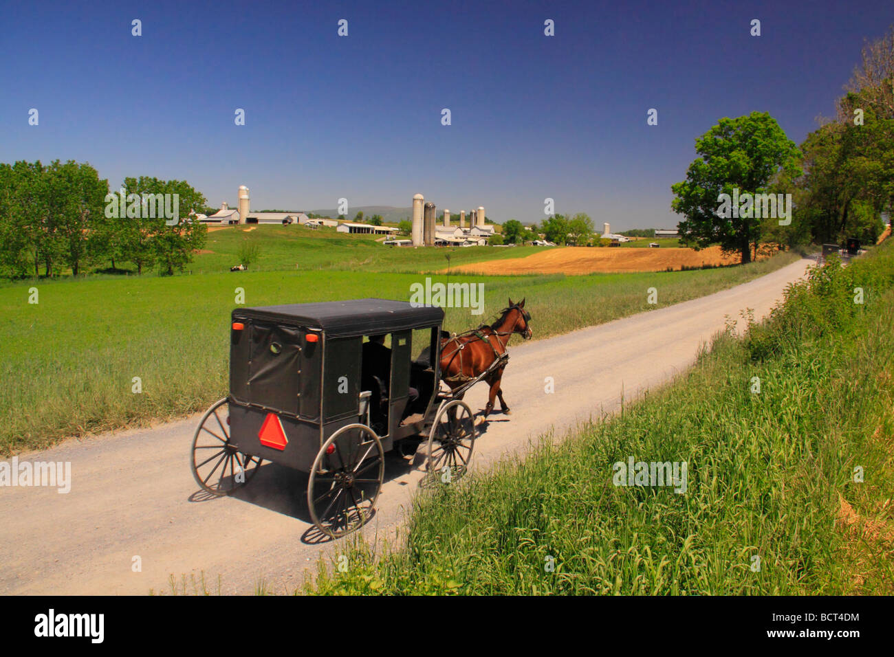 Mennonite buggy hi-res stock photography and images - Alamy