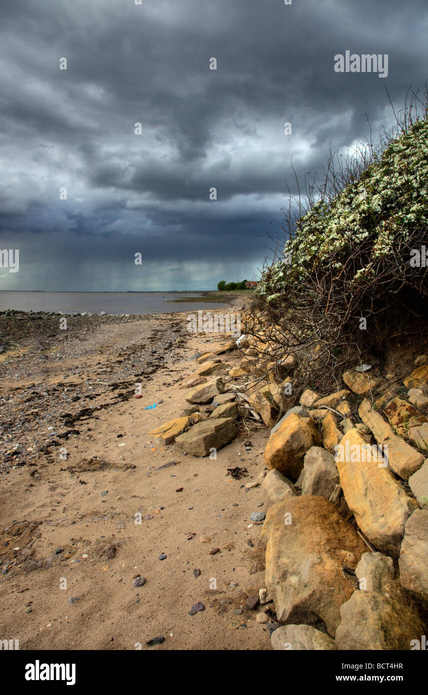 River bank erosion hi-res stock photography and images - Alamy