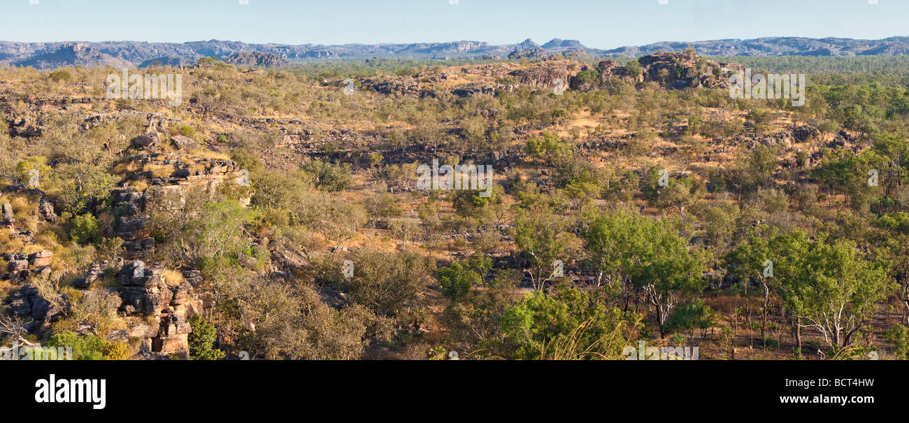 Bushland hi-res stock photography and images - Alamy