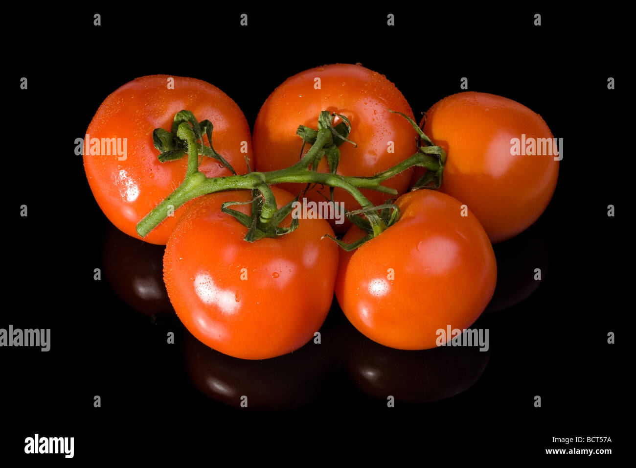 branch with five red tomatoes as Olympics symbol on black background ...