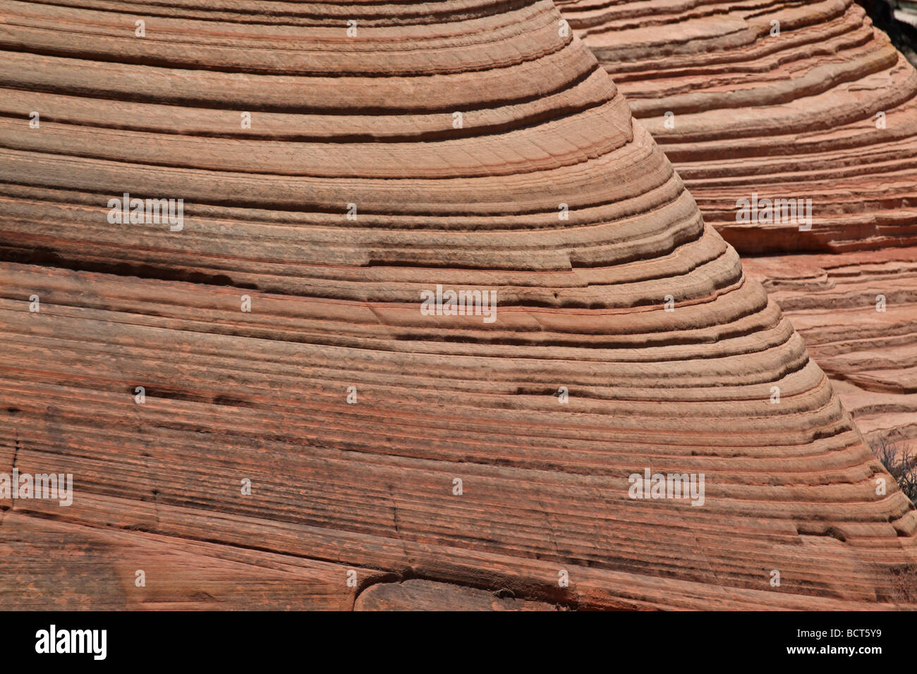 Sandstone Formations Showing Layers - Zion National Park - Utah - USA ...
