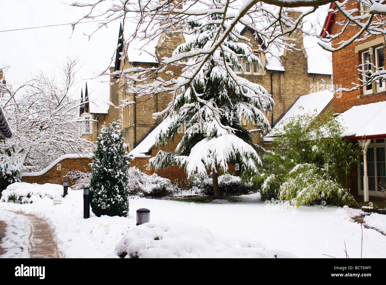 Snow covered trees and buildings of St Anne's College Oxford University ...