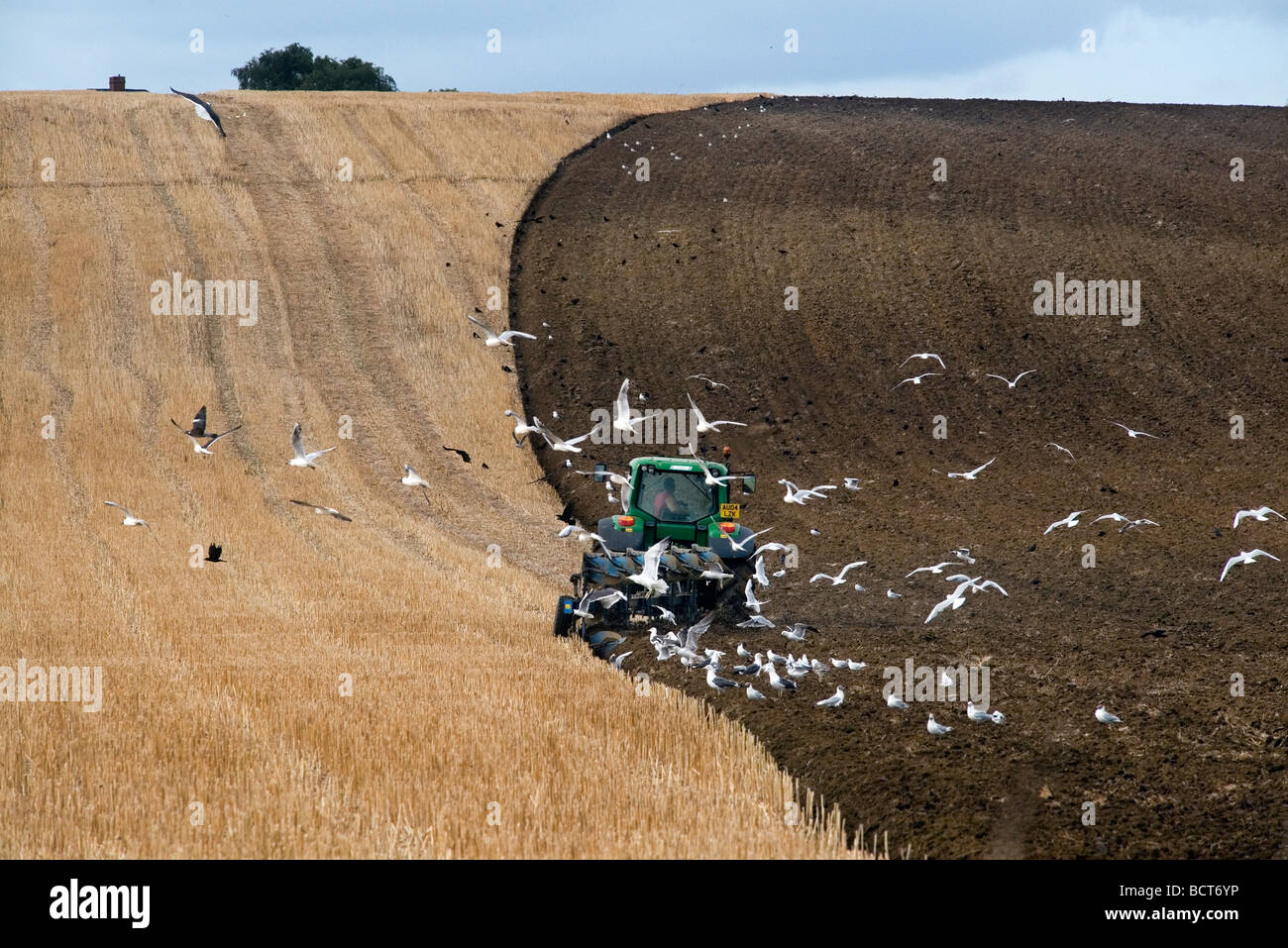 Suffolk farming hi-res stock photography and images - Alamy