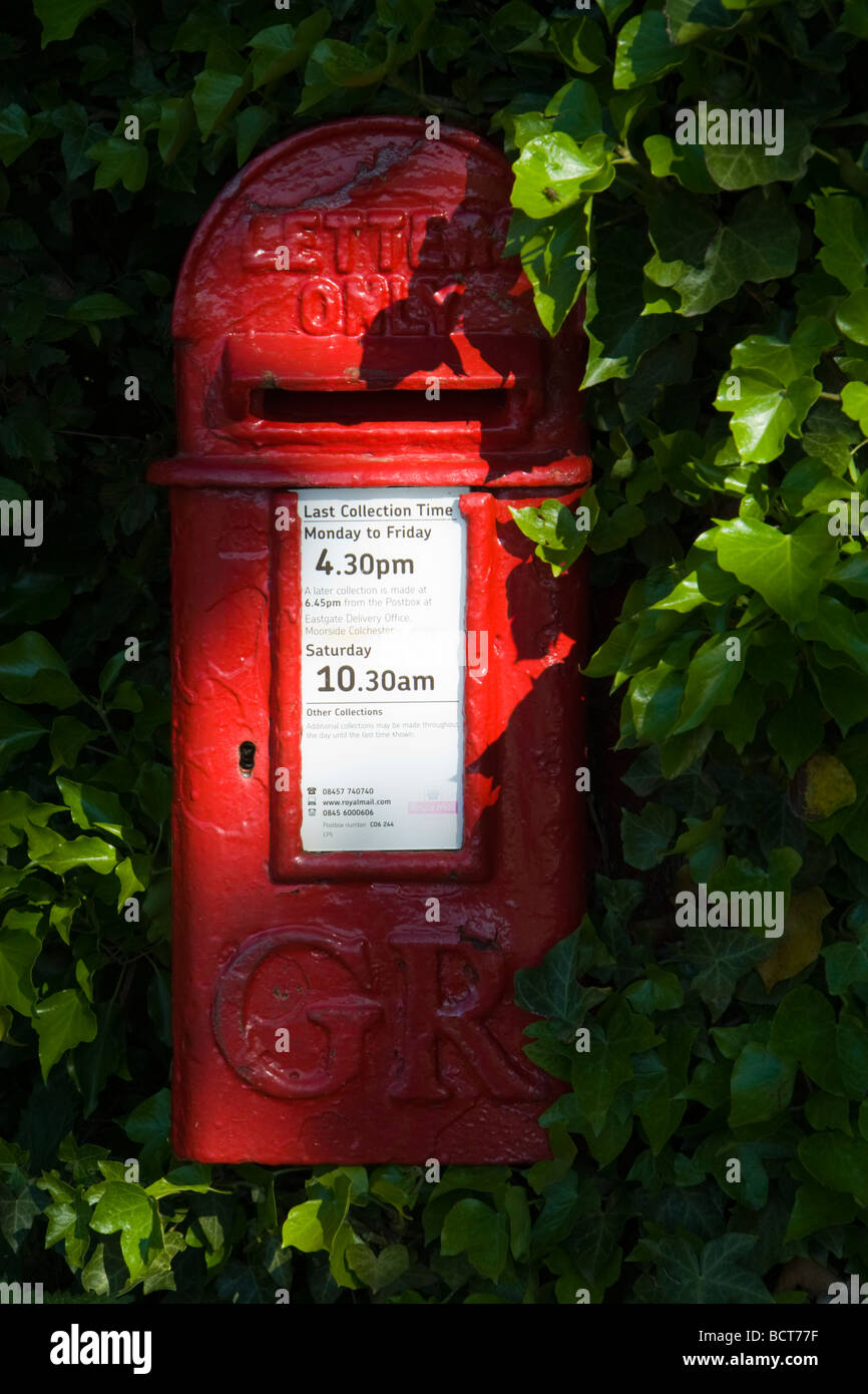 A post box surrounded by ivy in rural England Stock Photo - Alamy