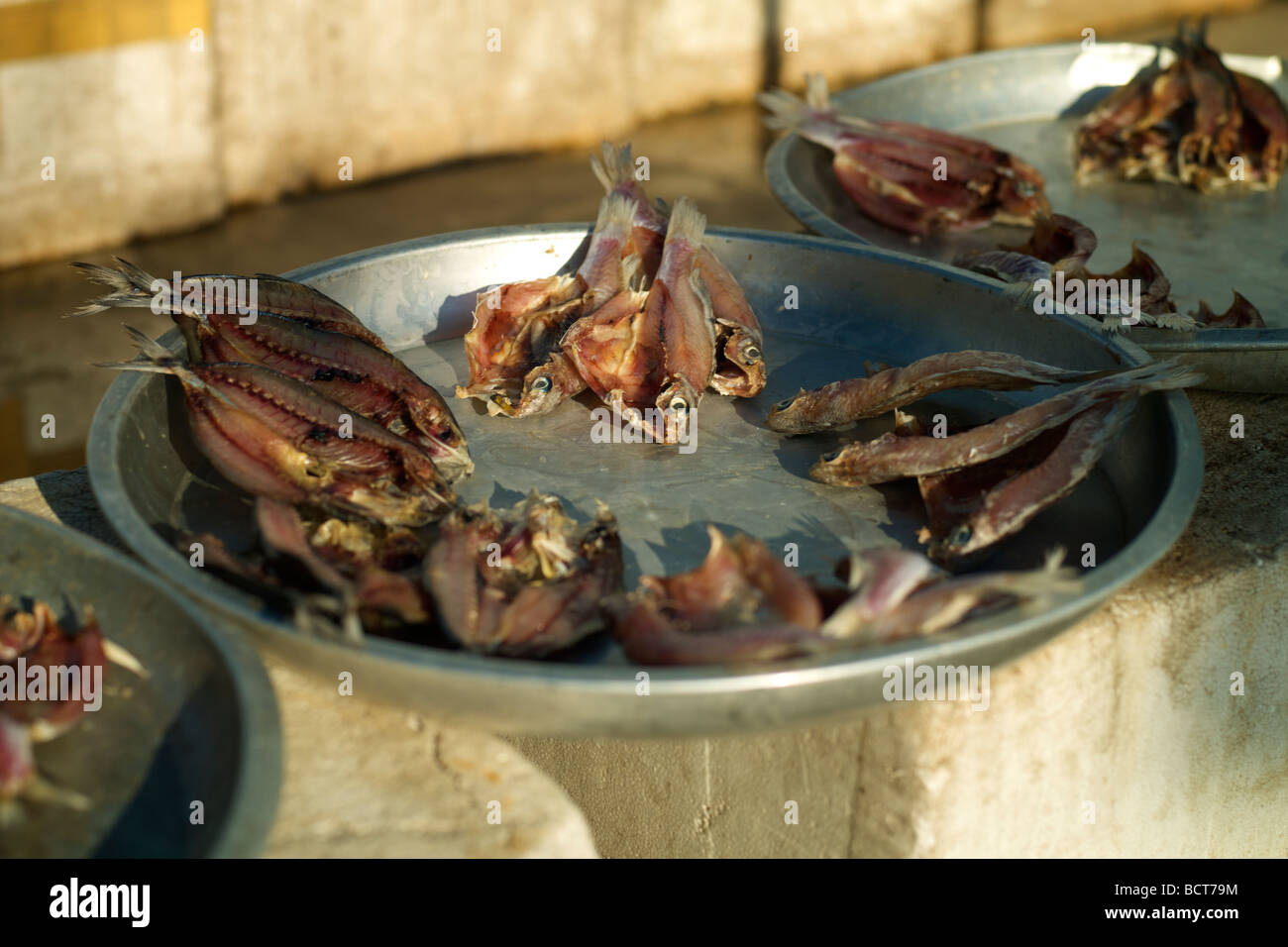 Dried fish on display in a fish market in Nathon Koh Samui Thailand ...