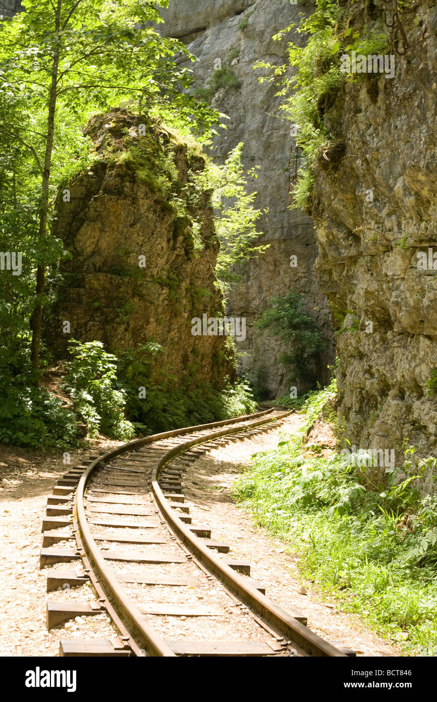 Narrow gauge railway hi-res stock photography and images - Alamy