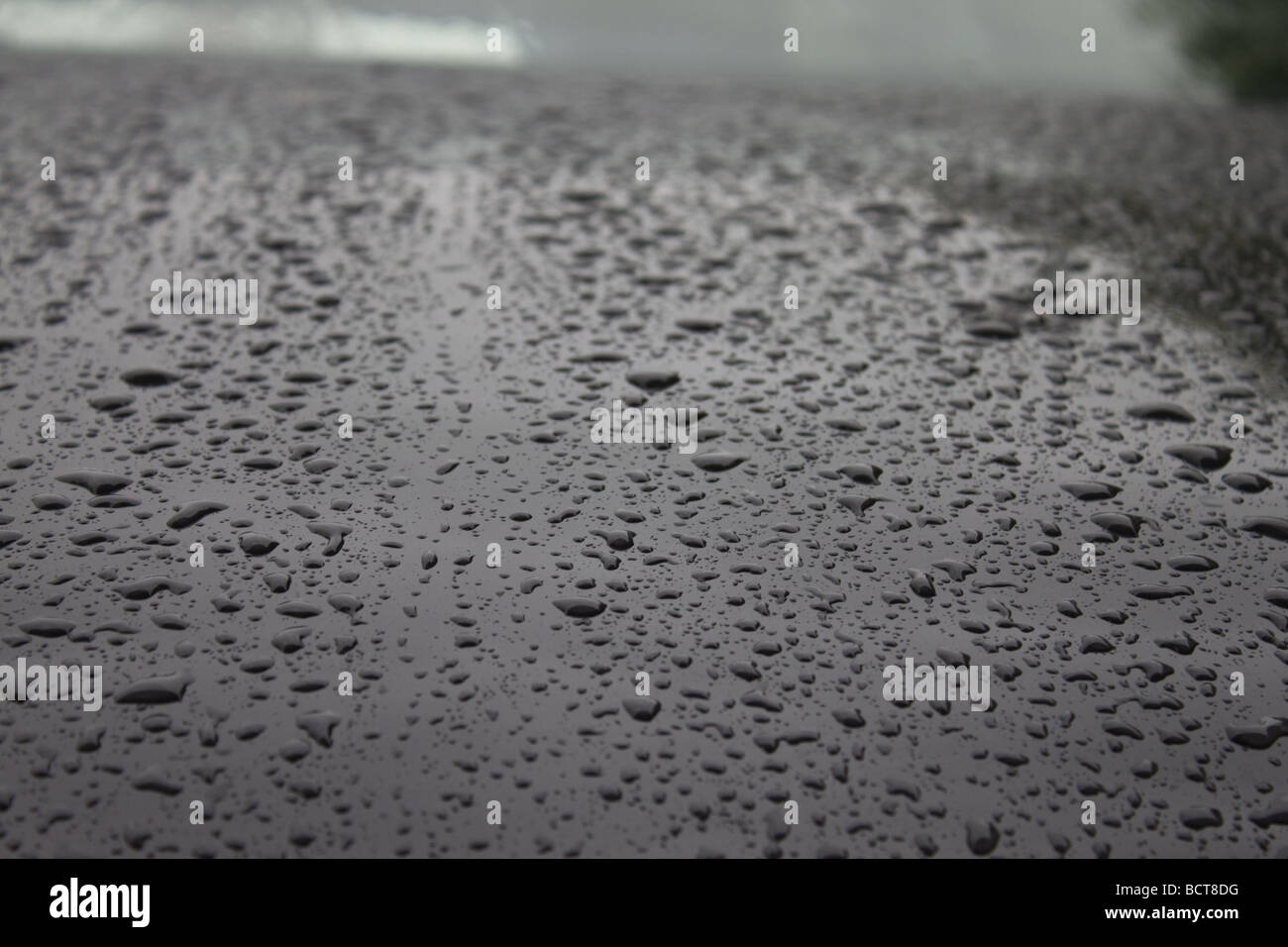 Rain bonnet hi-res stock photography and images - Alamy