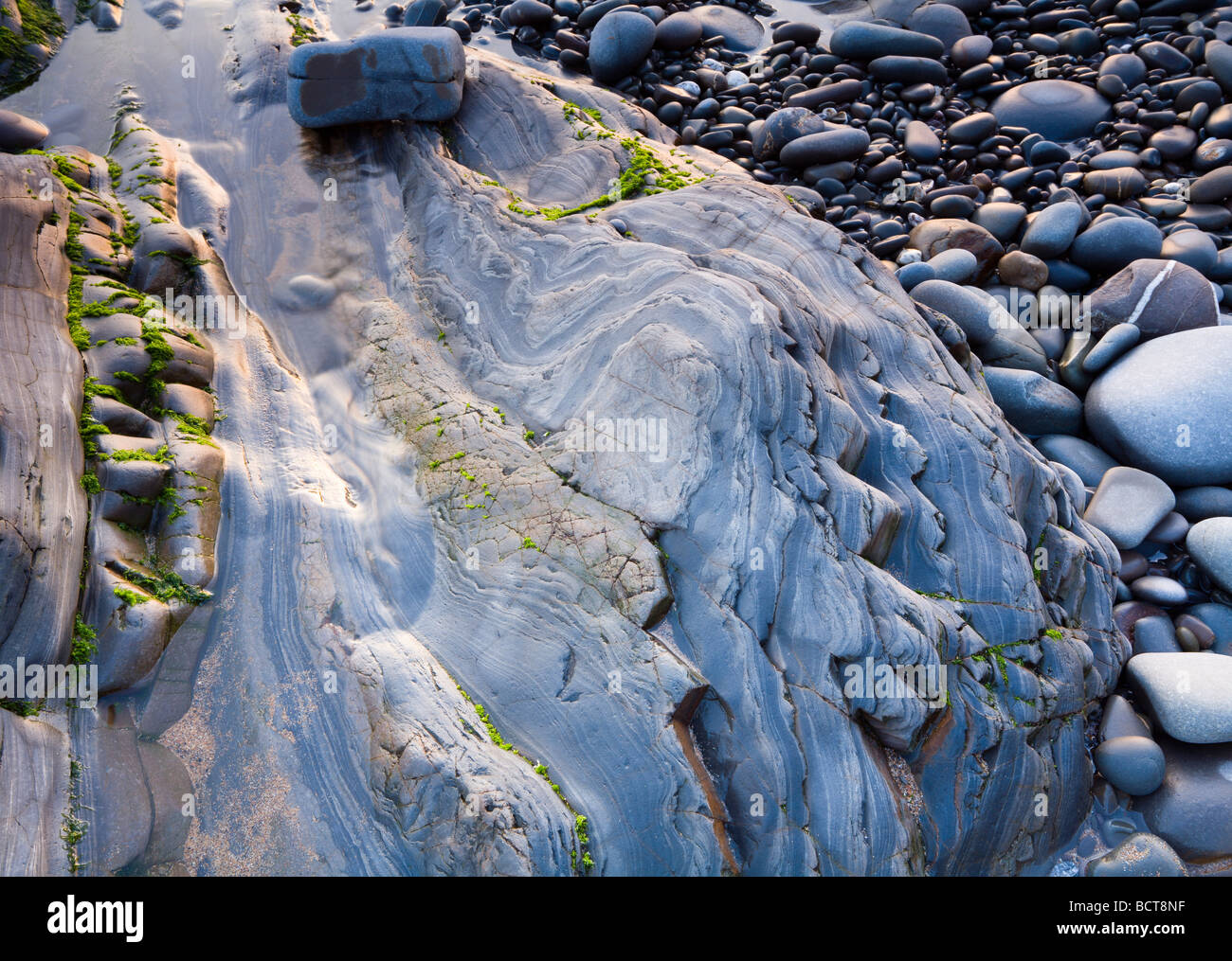 Close up of the pebbles and rock textures on the beach at Sandy Mouth ...