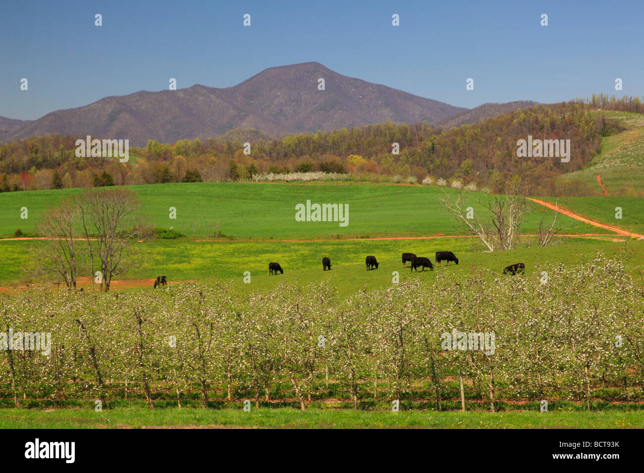 Ffarming hi-res stock photography and images - Alamy