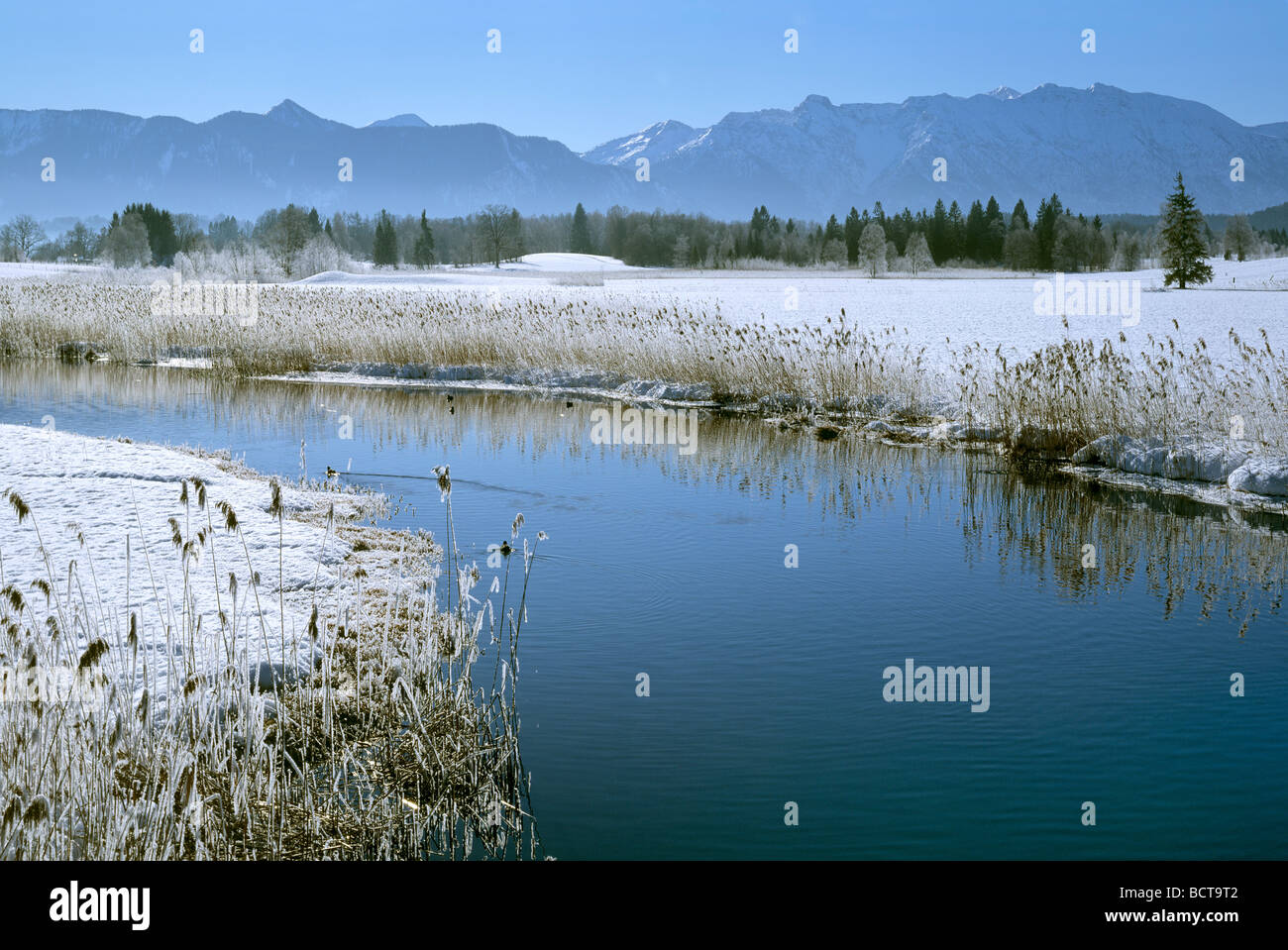 Staffelsee Ache lake in Uffing, winter, moss, Estergebirge mountains ...