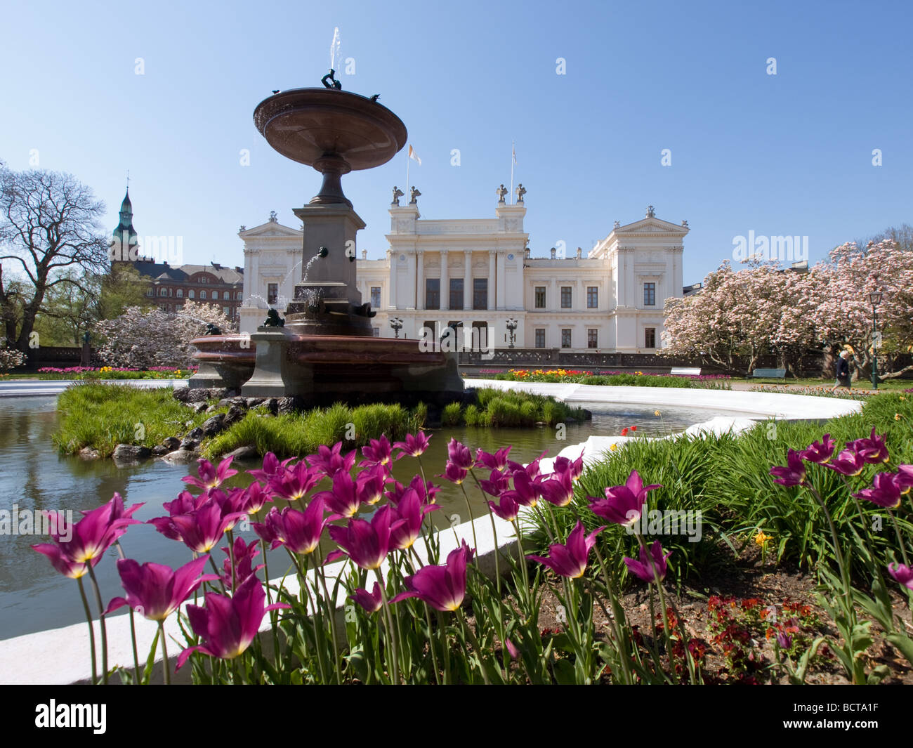 Lund university magnolias hi-res stock photography and images - Alamy
