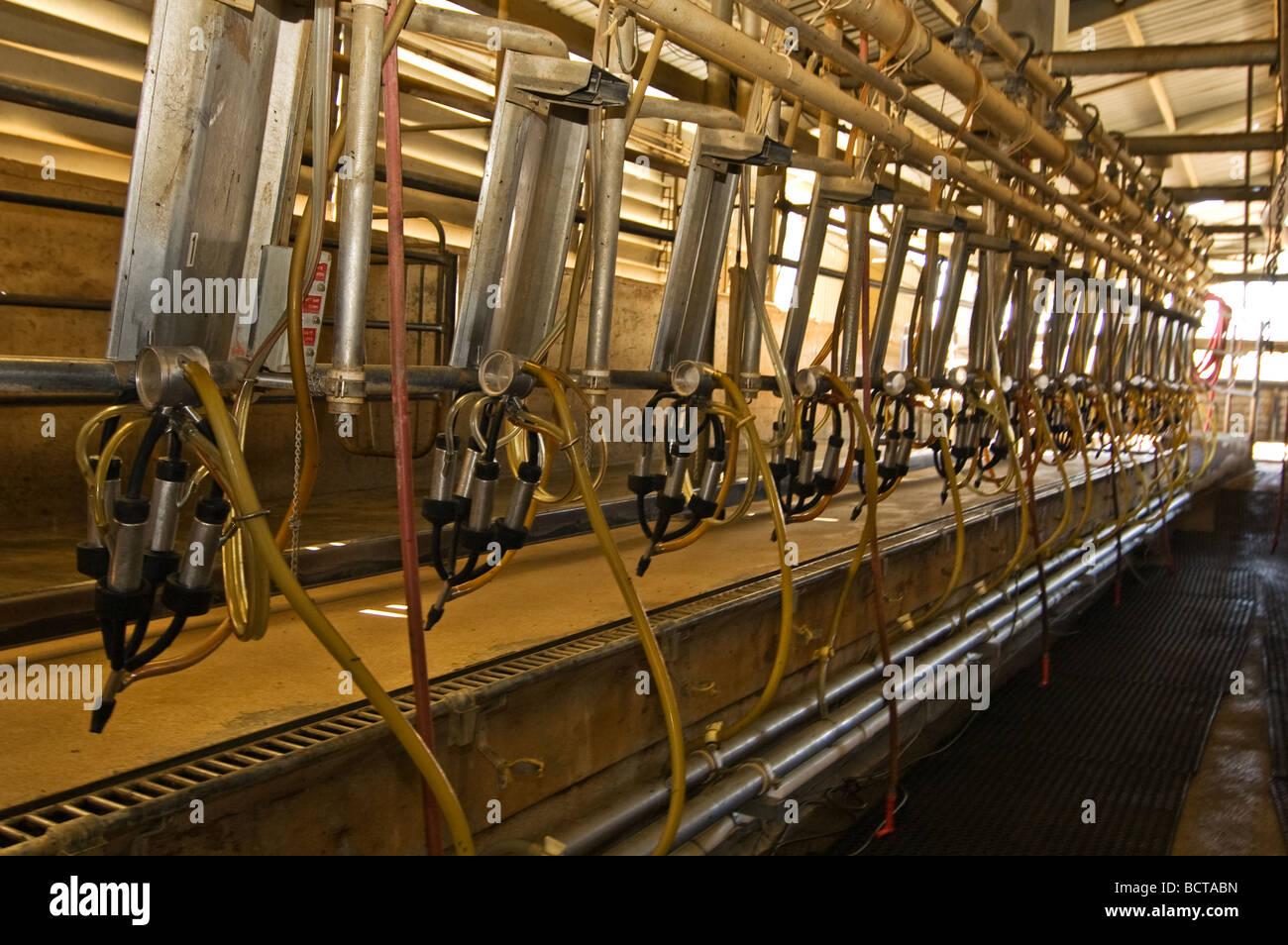 Milk extraction hi-res stock photography and images - Alamy