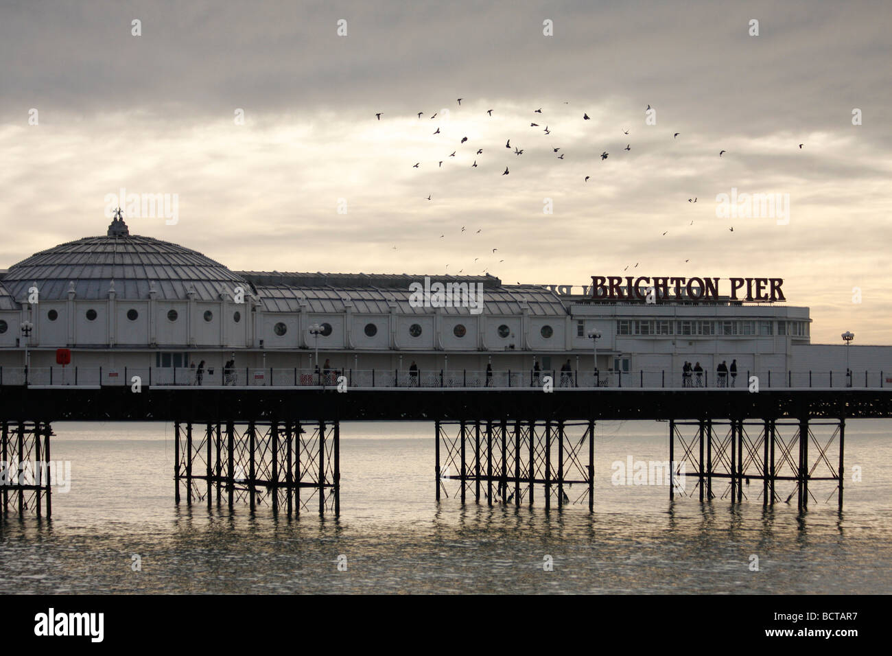Brighton Pier Birds Stock Photos & Brighton Pier Birds Stock Images - Alamy