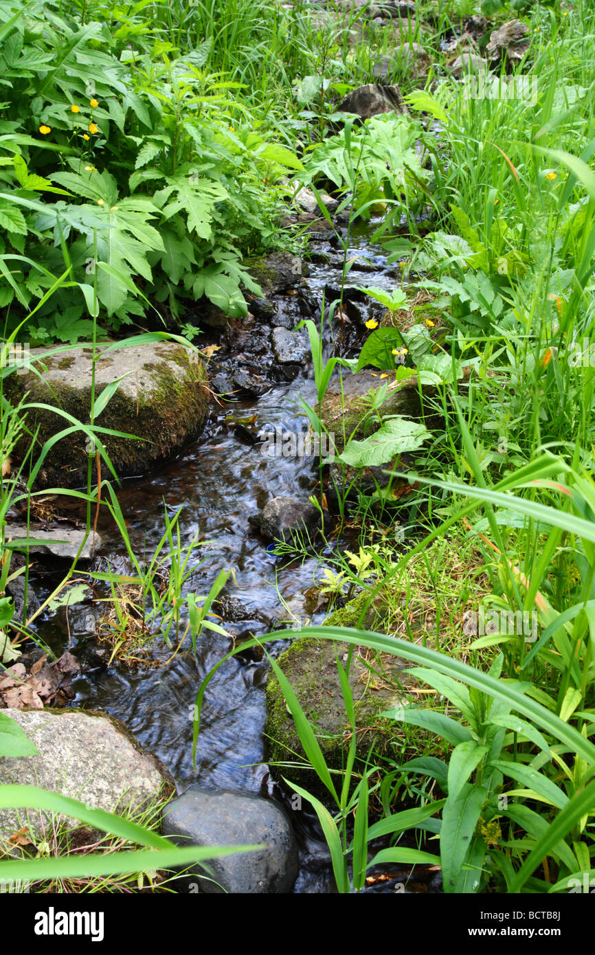 Stream pure water flowing through hi-res stock photography and images ...