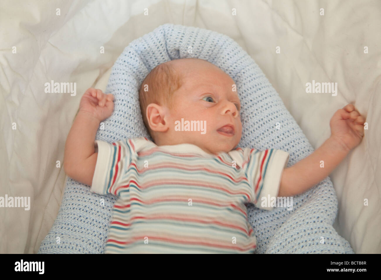 Newborn baby boy in his crib, London, England Stock Photo - Alamy