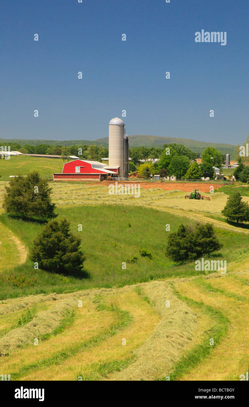 Tractor cows hi-res stock photography and images - Alamy
