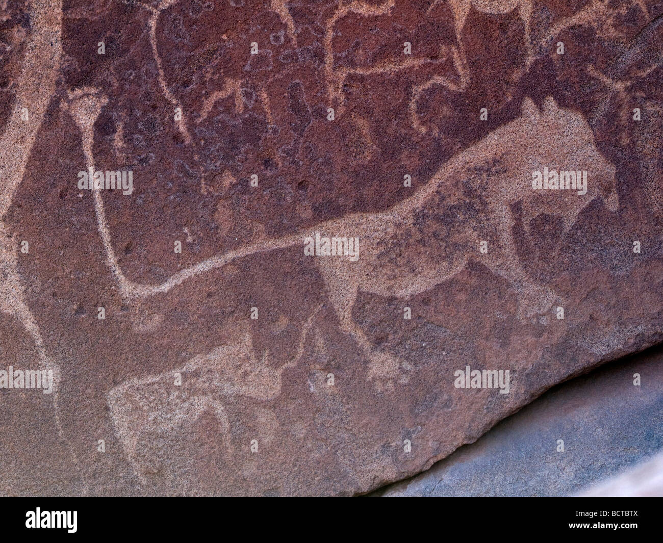 Petroglyphs in Twyfelfontein, Namibia, Africa Stock Photo - Alamy