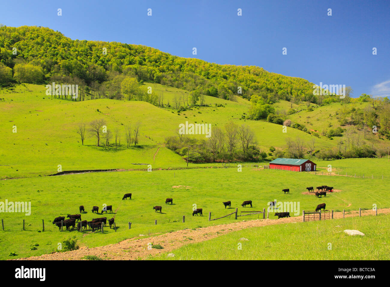 Farm in Western Highland County Virginia Stock Photo - Alamy
