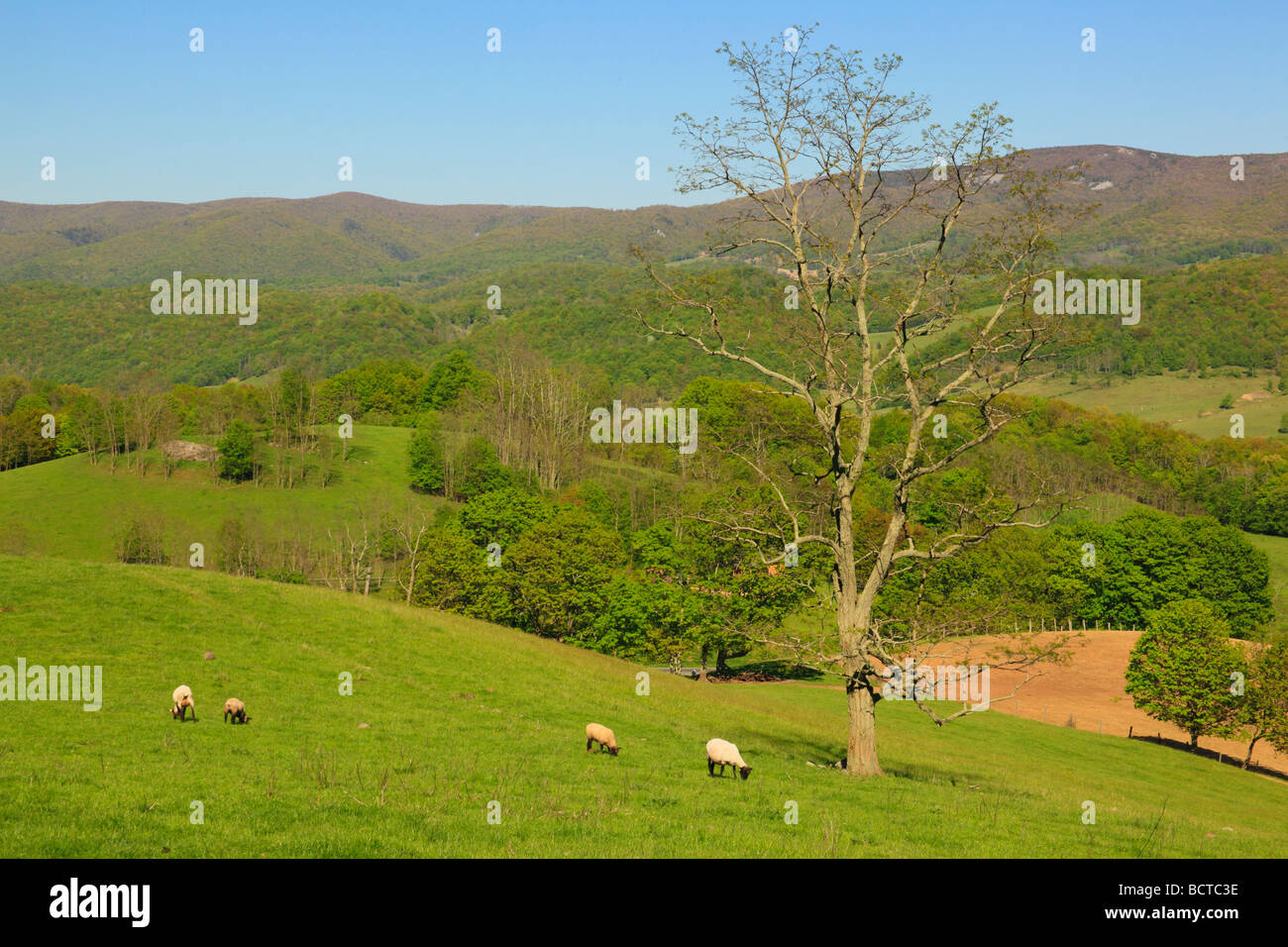Monterey county farm hi-res stock photography and images - Alamy