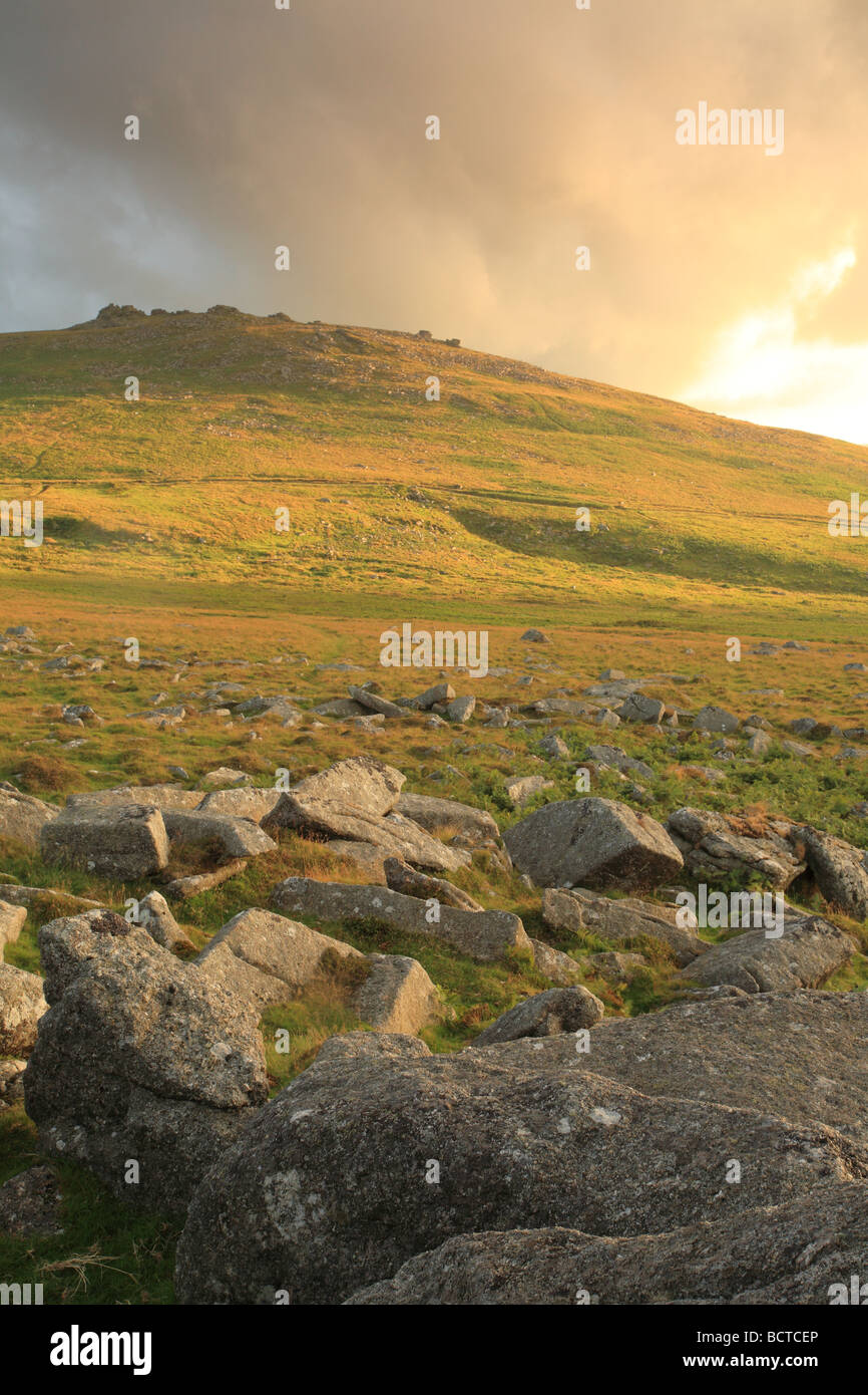 West Mill Tor (500 Metres) in summer late evening sun, Dartmoor, Devon ...