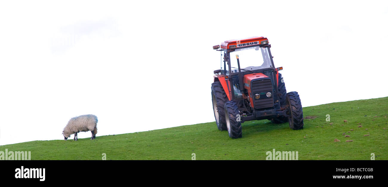 A sheep and tractor in a field Stock Photo - Alamy