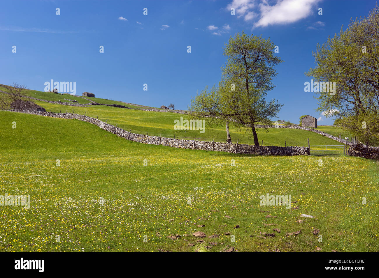 Langstrothdale in Yorkshire Dales North Yorkshire England Stock Photo ...