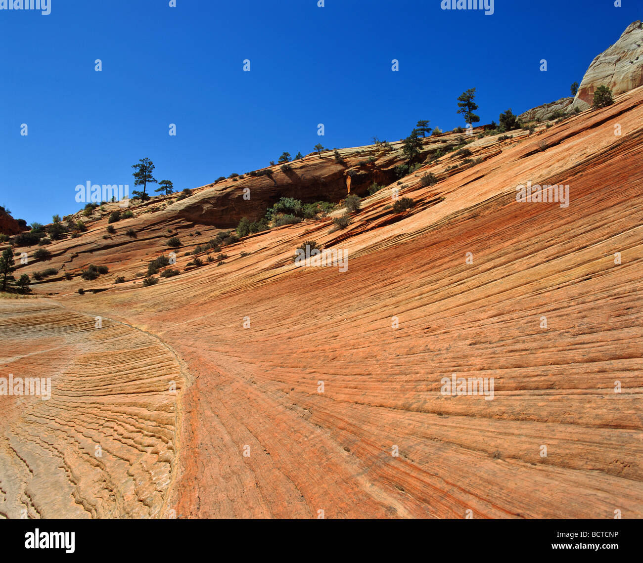 Sandstone structure, Zion National Park, Utah, USA Stock Photo - Alamy