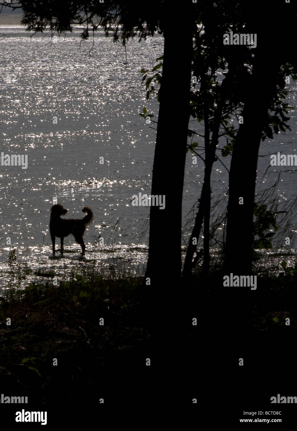 Night alert hi-res stock photography and images - Alamy