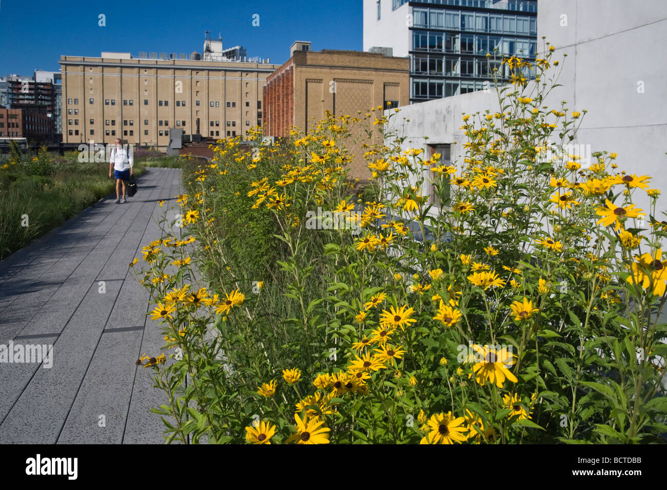 High Line Park in the Chelsea neighborhood of Manhattan Stock Photo - Alamy