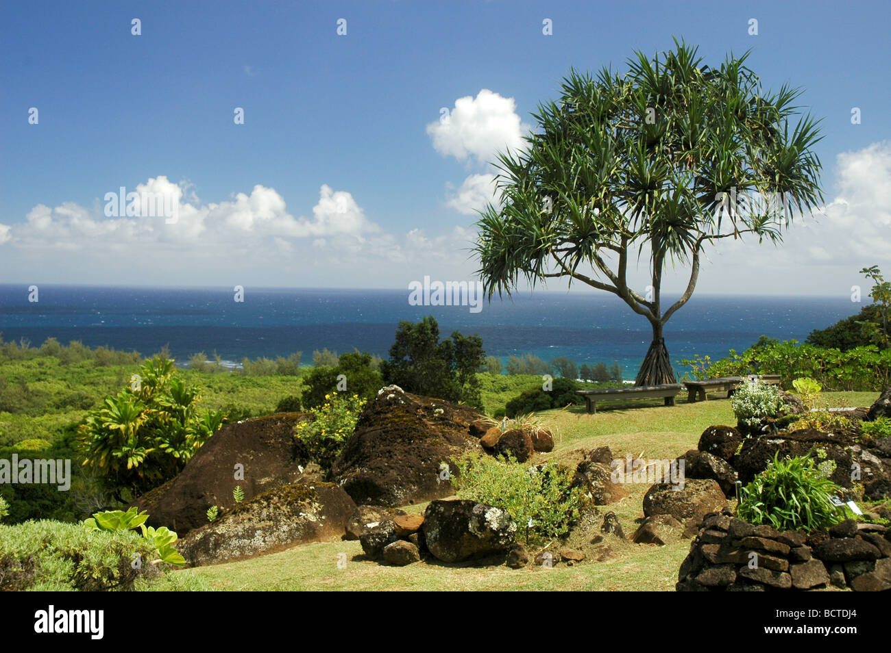 Limahuli garden hi-res stock photography and images - Alamy