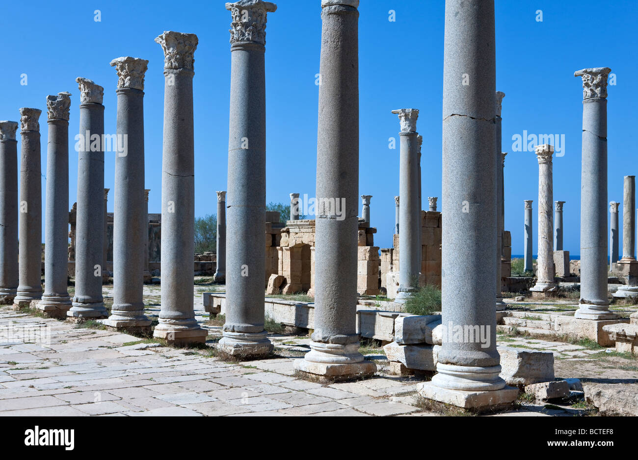 Libya the archaeological site of Leptis Magna Stock Photo - Alamy