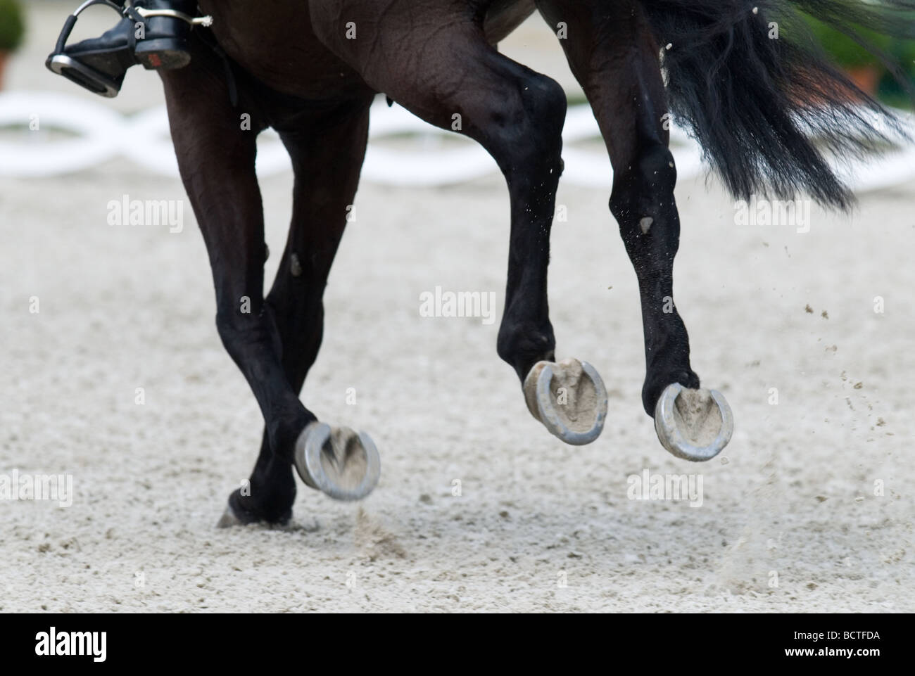 Competitive dressage hi-res stock photography and images - Alamy