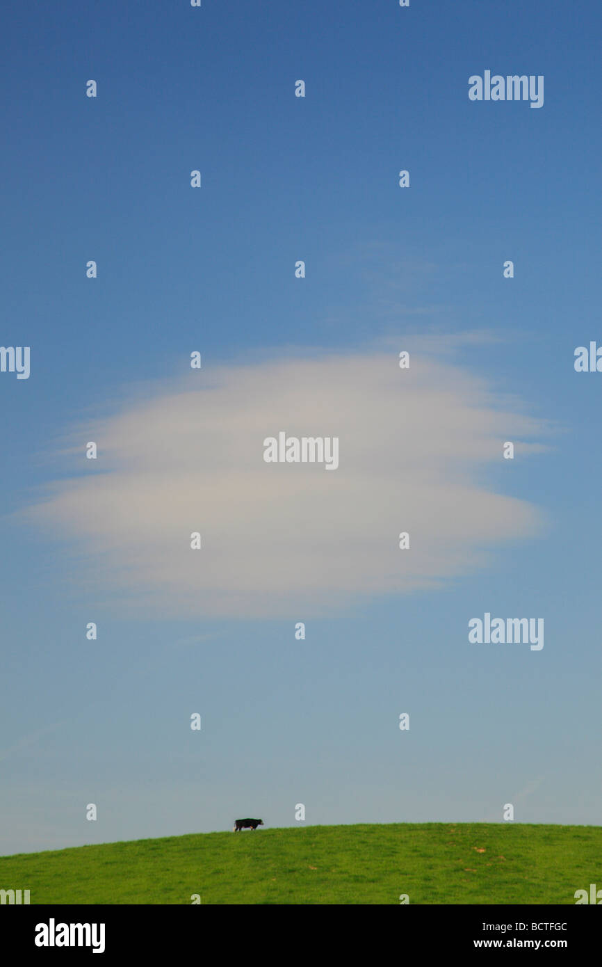 Cloud valley hi-res stock photography and images - Alamy