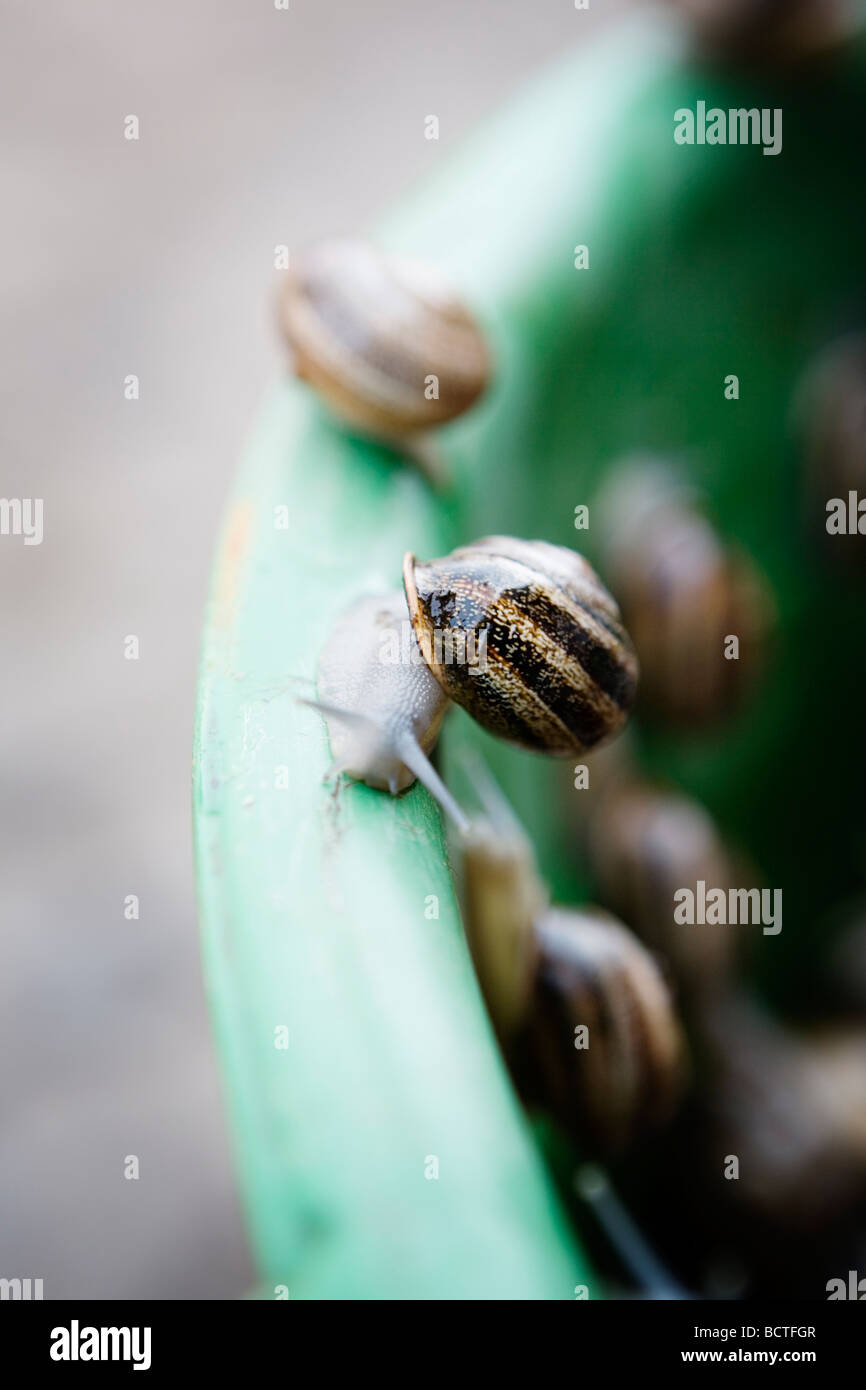 Marrakech food culture hi-res stock photography and images - Alamy