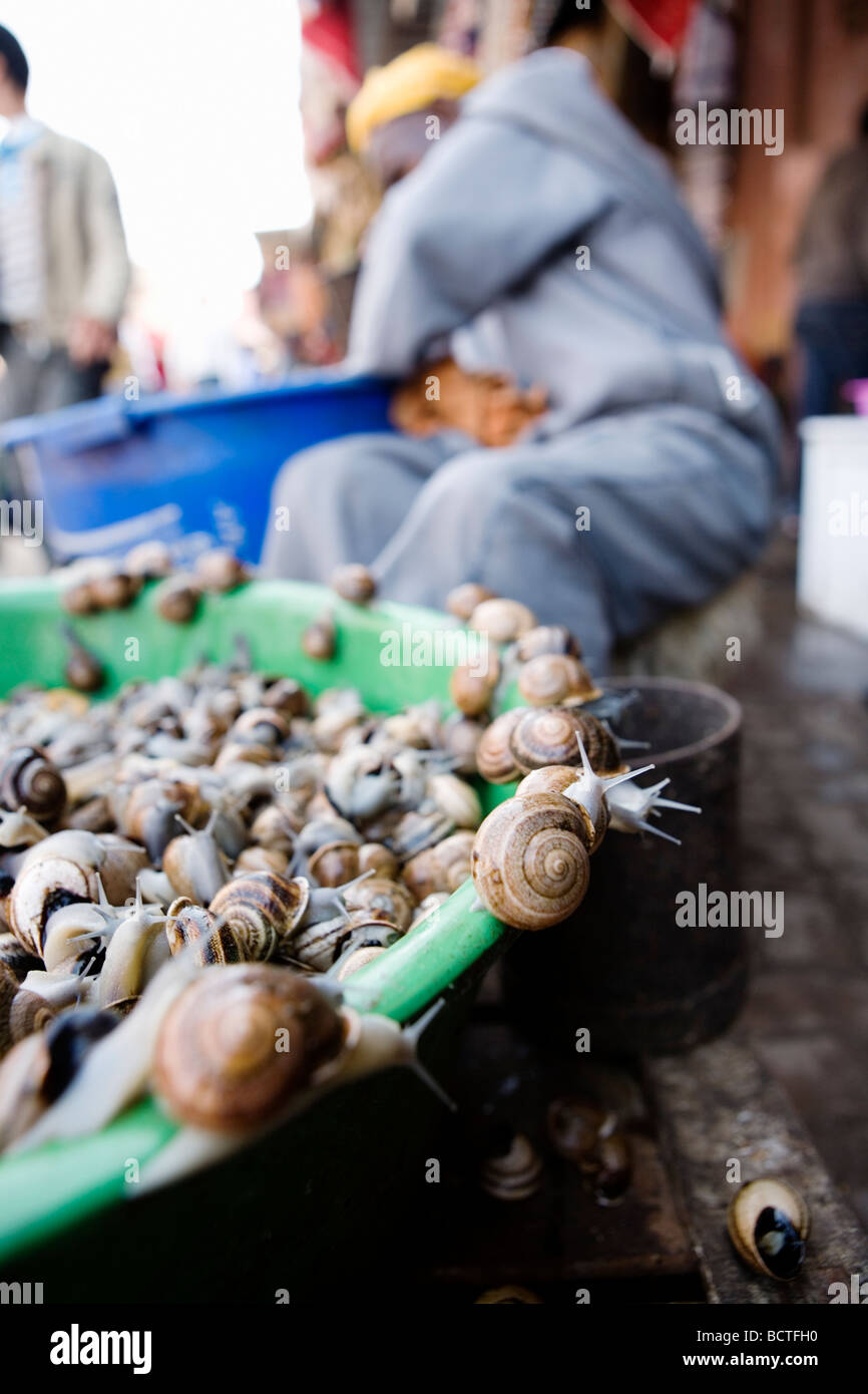 Snail soup hi-res stock photography and images - Alamy